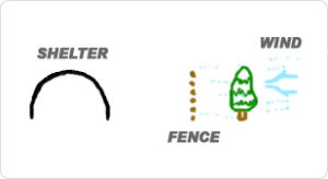 Snow & Wind & Grip Clips | Shelter Systems